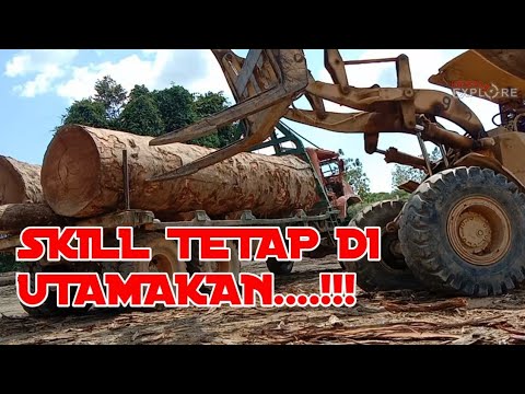 TECHNIK MENURUNKAN KAYU BESAR MENGGUNAKAN WHEEL LOADER CATERPILLAR ...