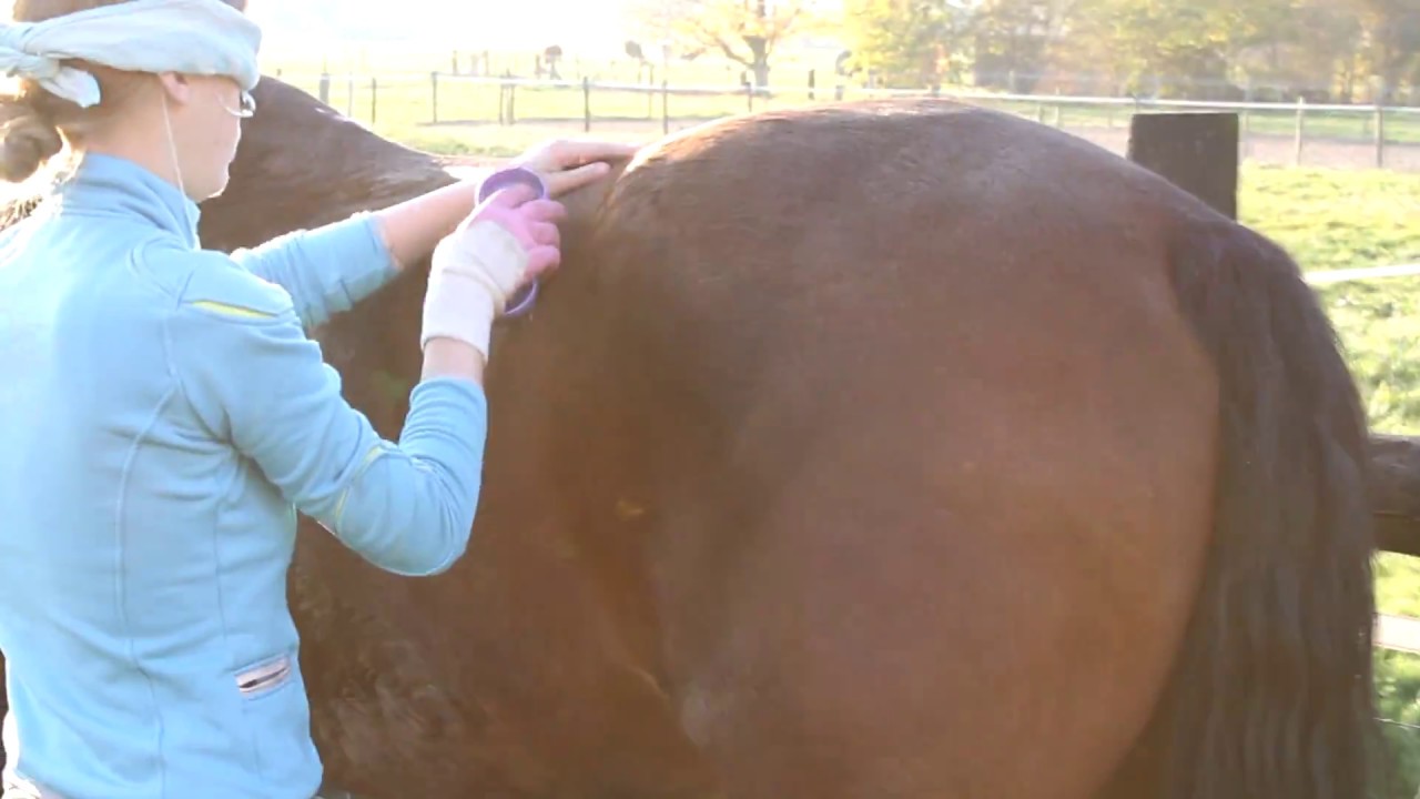 Blind Challenge 1# Poetsen | Horse Around - YouTube