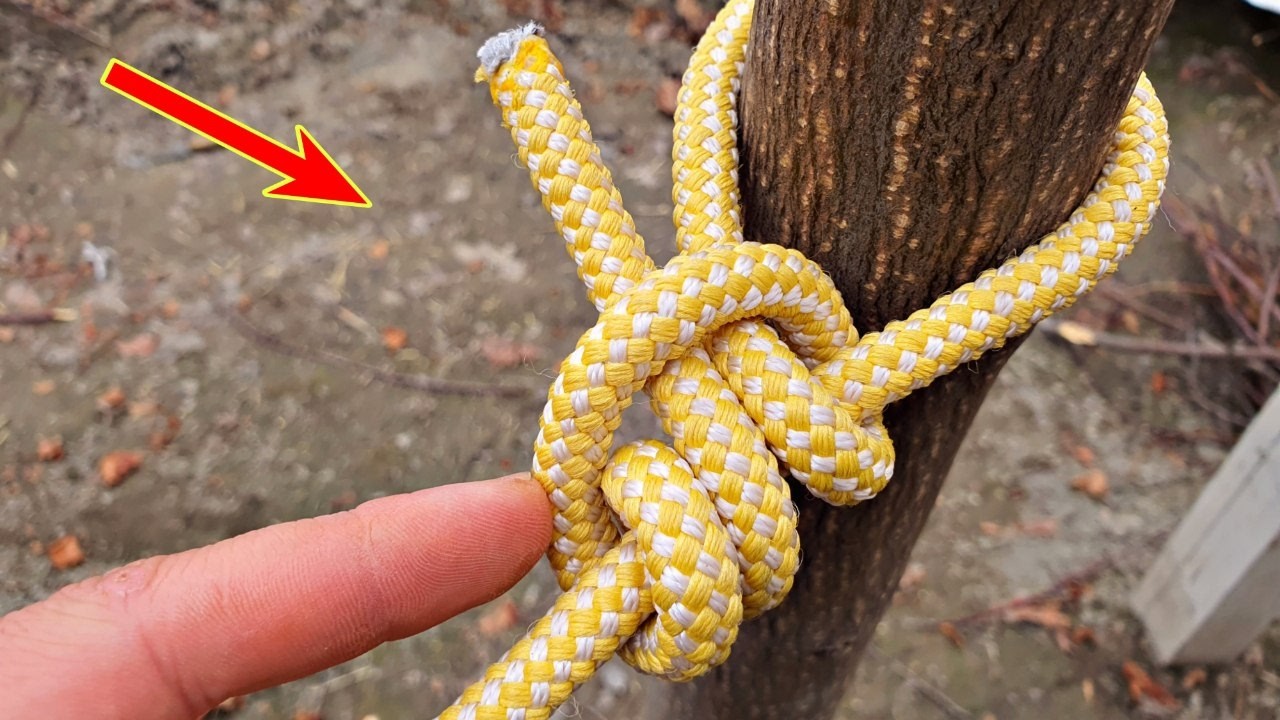 Hidden Knot Experts Don't Want You to Know About This Knot - YouTube