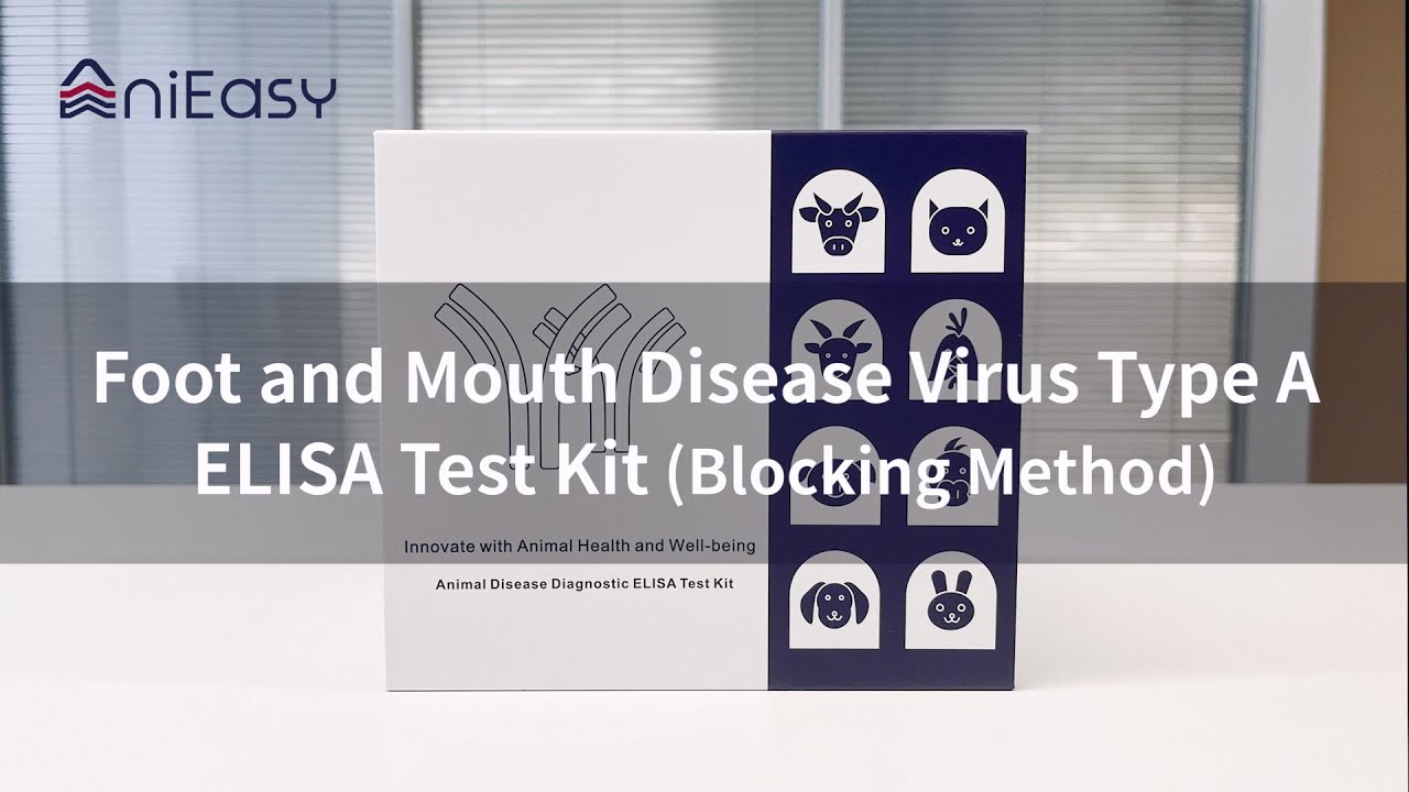 Foot and Mouth Disease Virus Type A ELISA Test Kit - Operation Guide ...