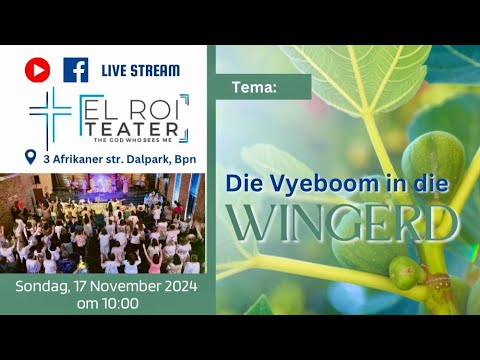 "Die Vyeboom in die wingerd" - Willie Olwage - YouTube