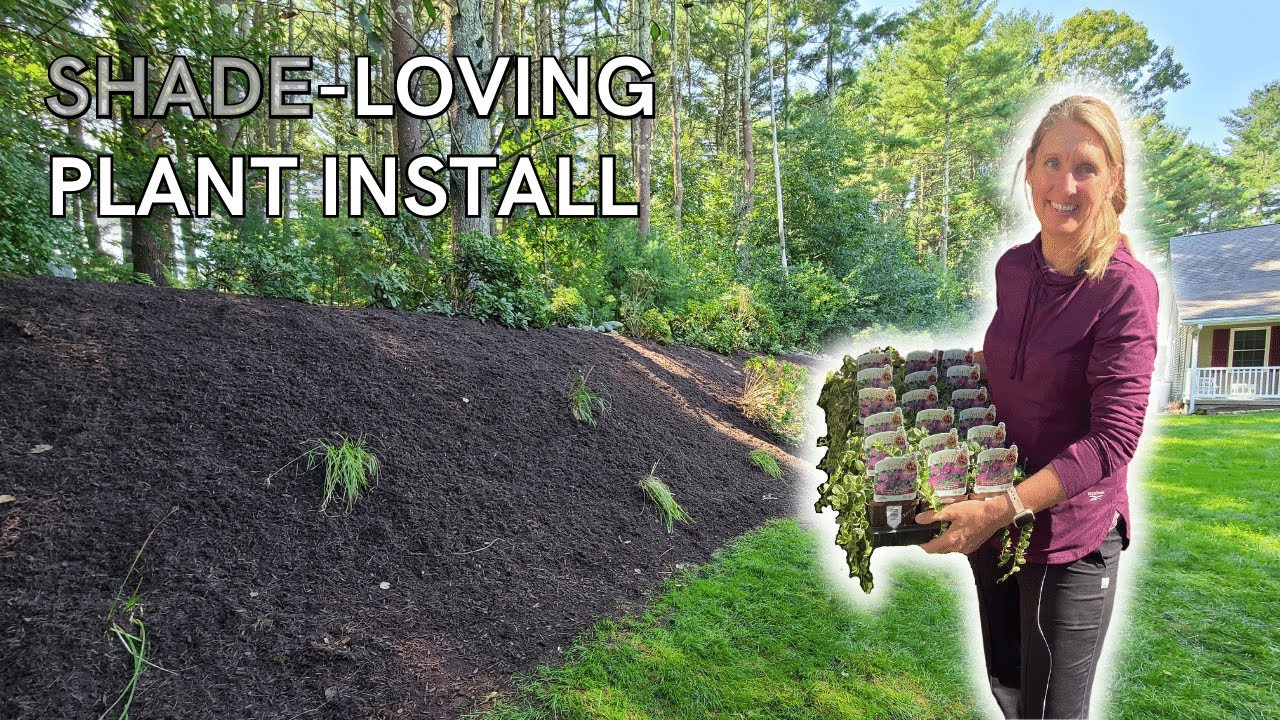 Brightening Up a Shady Hillside with Ground Cover Plants | Fall Garden ...