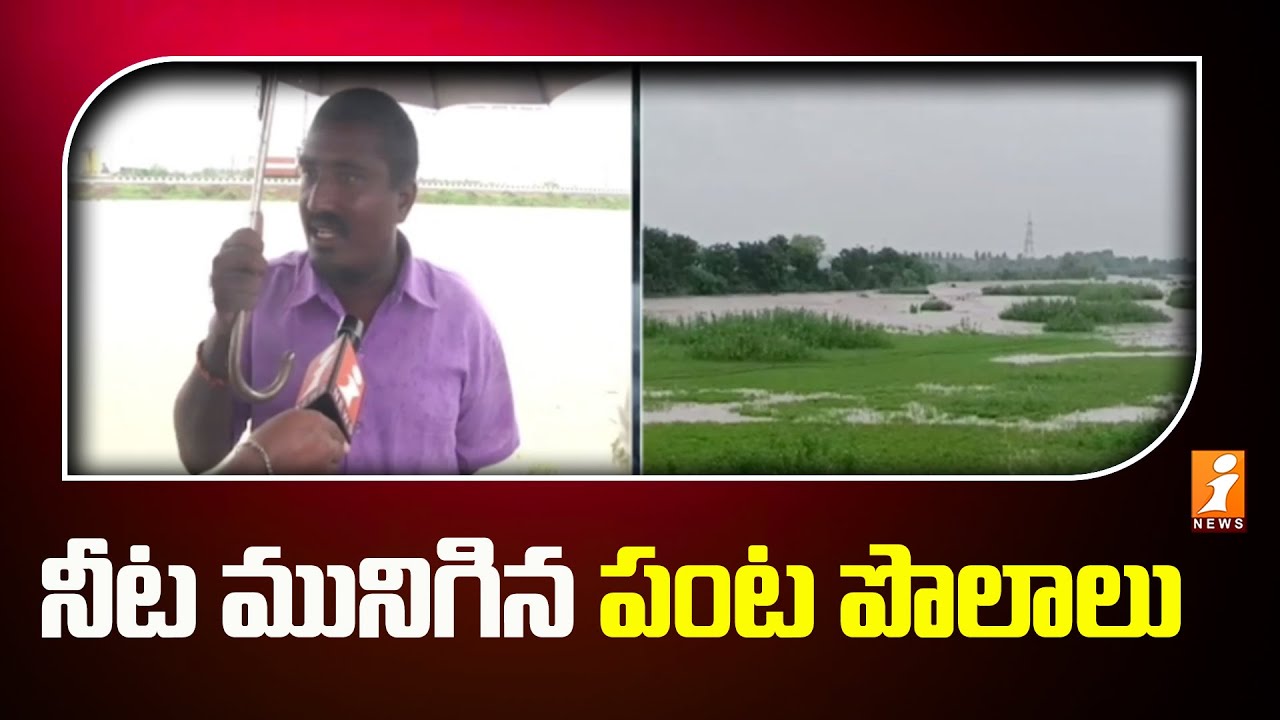 Eluru District || చెరువులను తలపిస్తున్న వారి పంట పొలాలు || iNews - YouTube