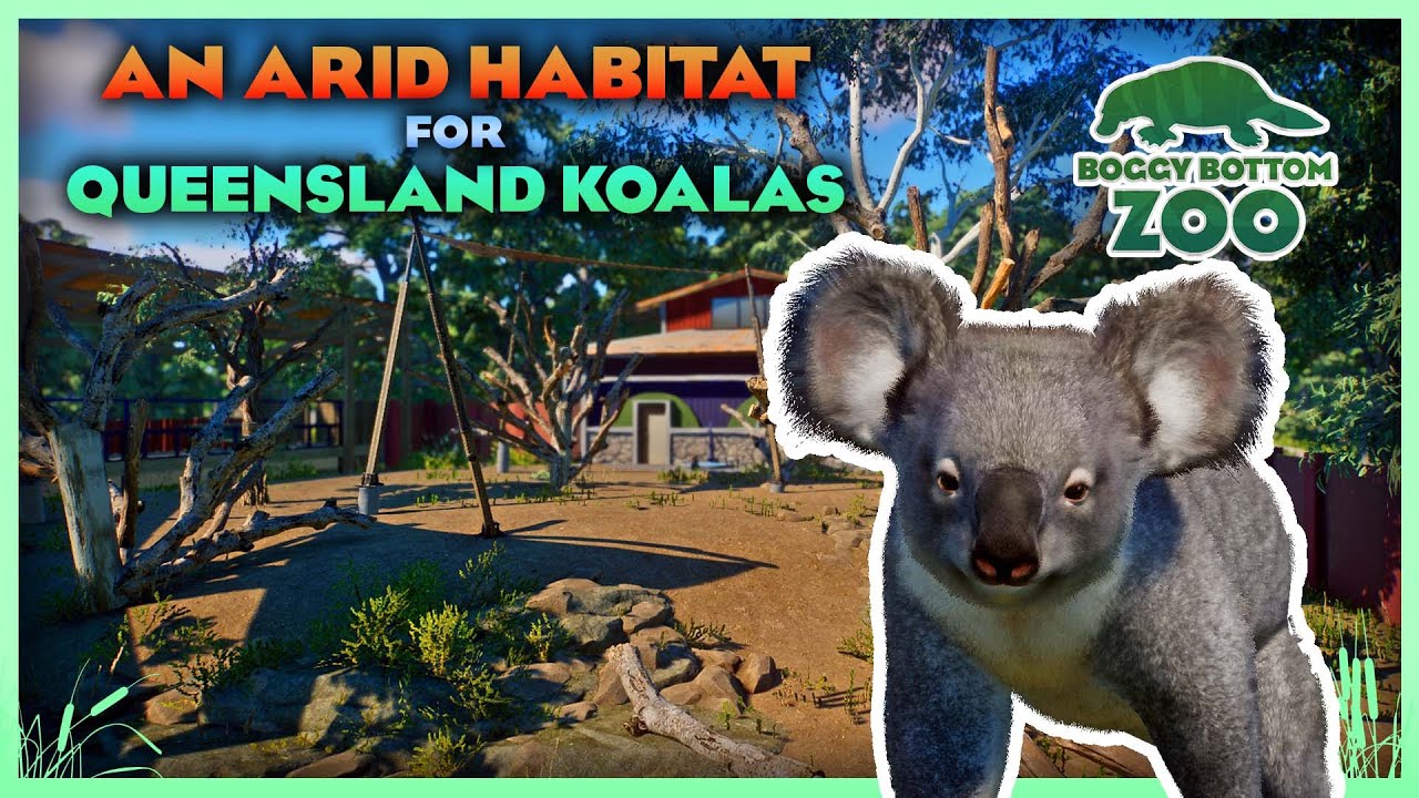 Koala Habita Big Zoo Koalas Officially Listed As Endangered Species