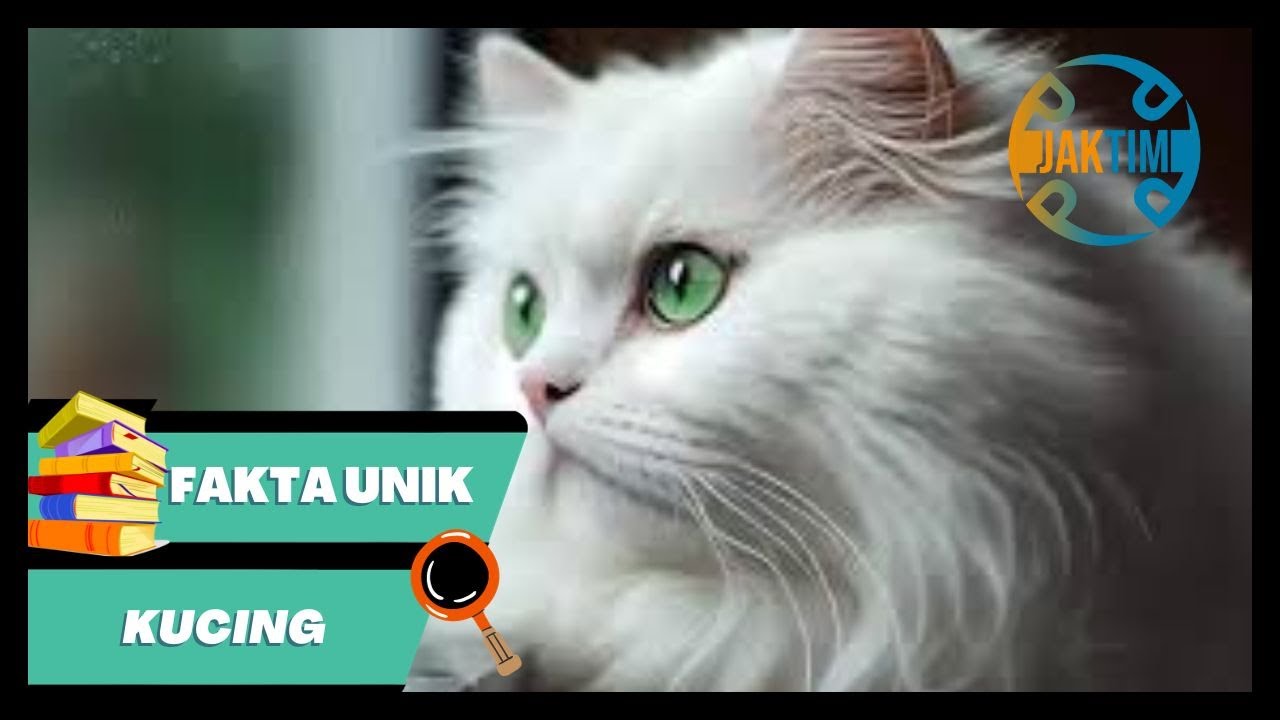 FAKTA UNIK KUCING PELIHARAAN PENUH PESONA - YouTube