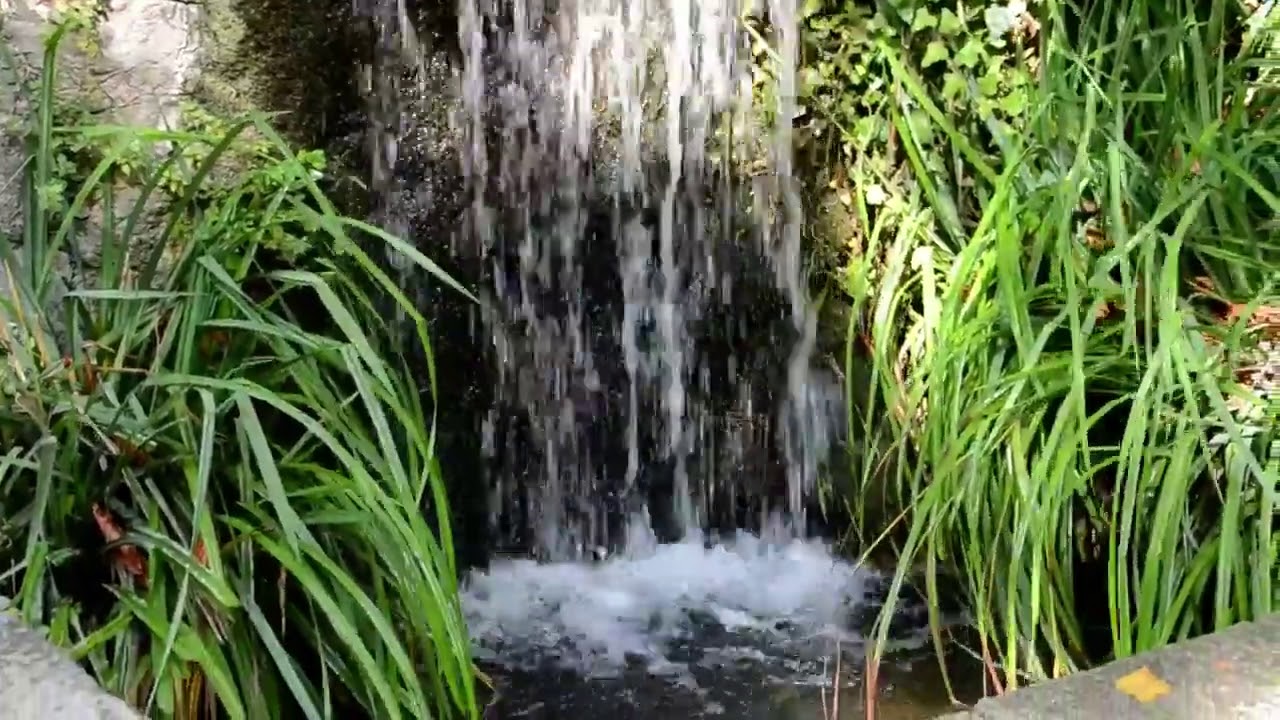 mixkit natural spring waterfall 15278 medium - YouTube