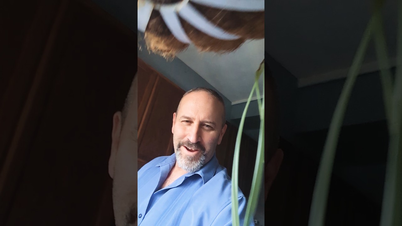 NEIL DIAMOND'S HEARTLIGHT #neildiamond#song#youtubeshorts#heart#light# ...