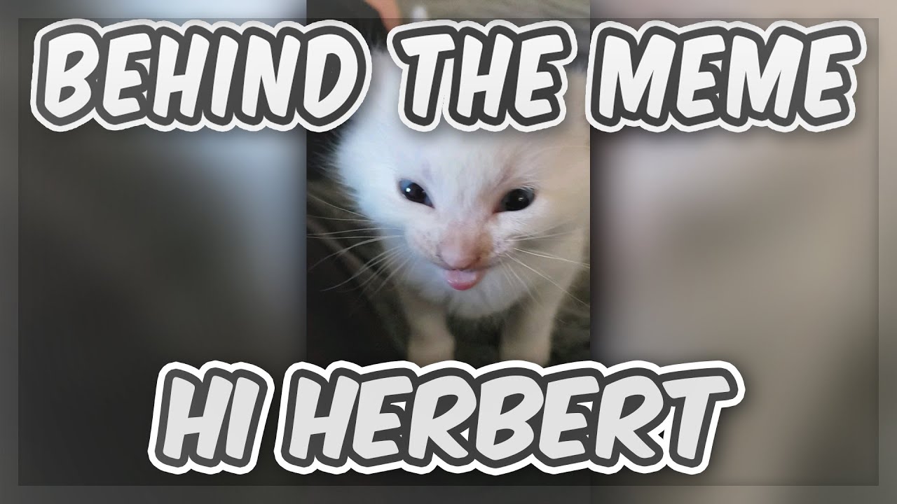 Behind The Meme: Hi Herbert [Meme Explained] - YouTube