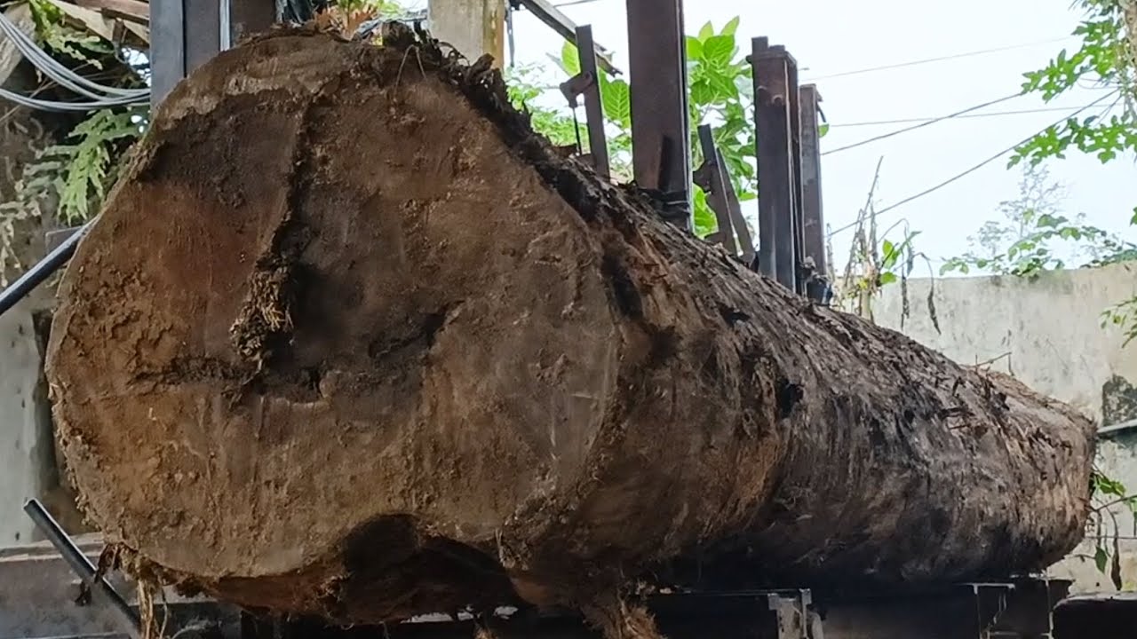 How amazing DIY inventions can turn wood into useful tools - YouTube