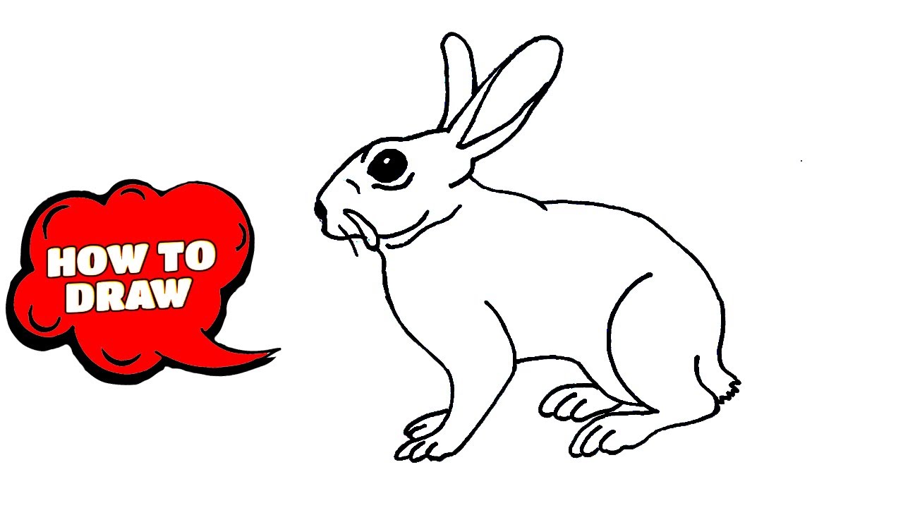 How to draw a Rabbit easy | Steps on How to Draw a Rabbit,advanced ...