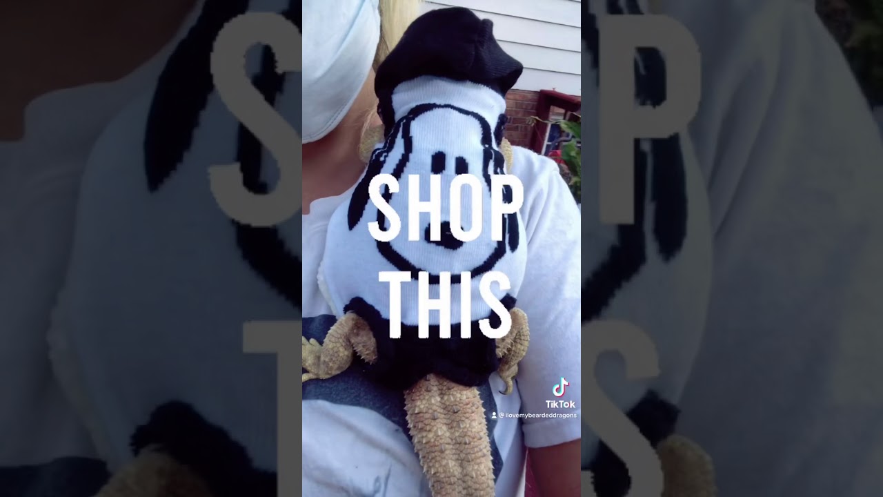 My Little Pet Swagger 💓 Best Pet Ever 🥰 - YouTube