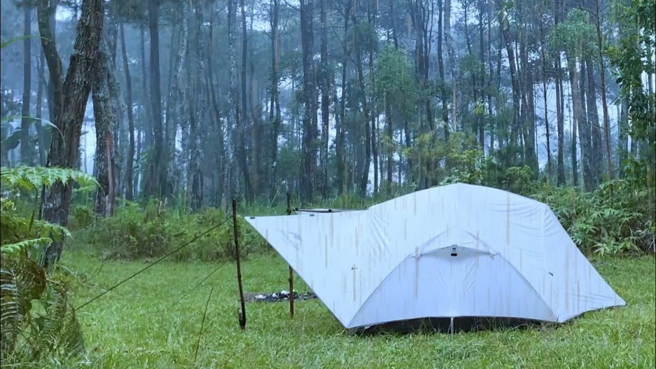 SOLO CAMPING IN RAIN FOREST‼️RELAXING IN THE COZY TENT - YouTube