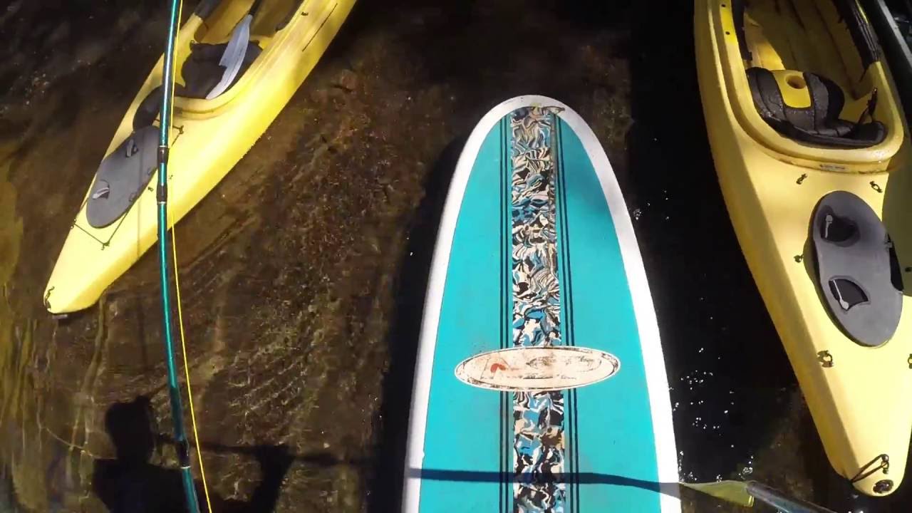 Fly Fishing on a Stand-Up Paddle Board - YouTube