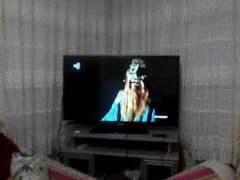 SÜT  KARDEŞLER