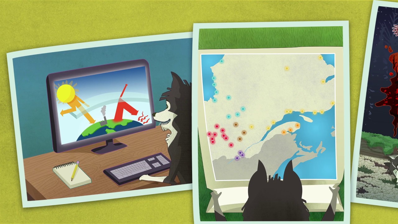 INNU-AIMUN - Qimmiq passe à l'action / Qimmiq takes action - YouTube