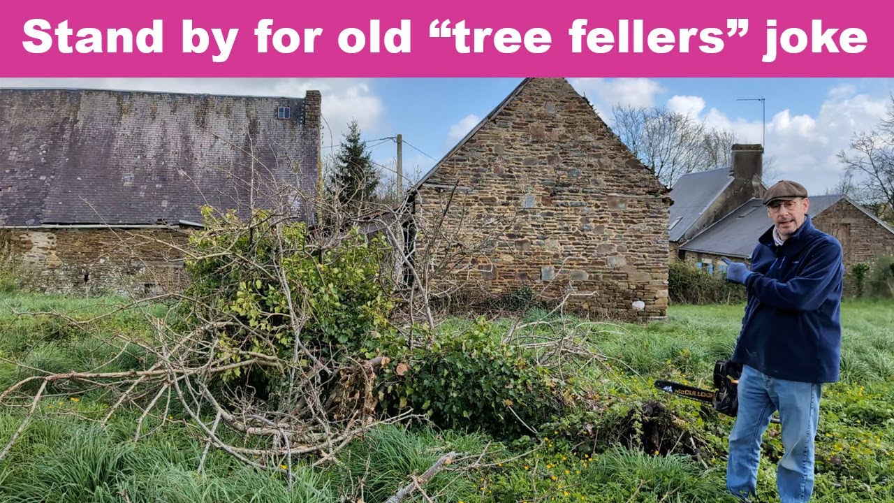 Stand by for old "tree fellers" joke. French farm house renovation ...