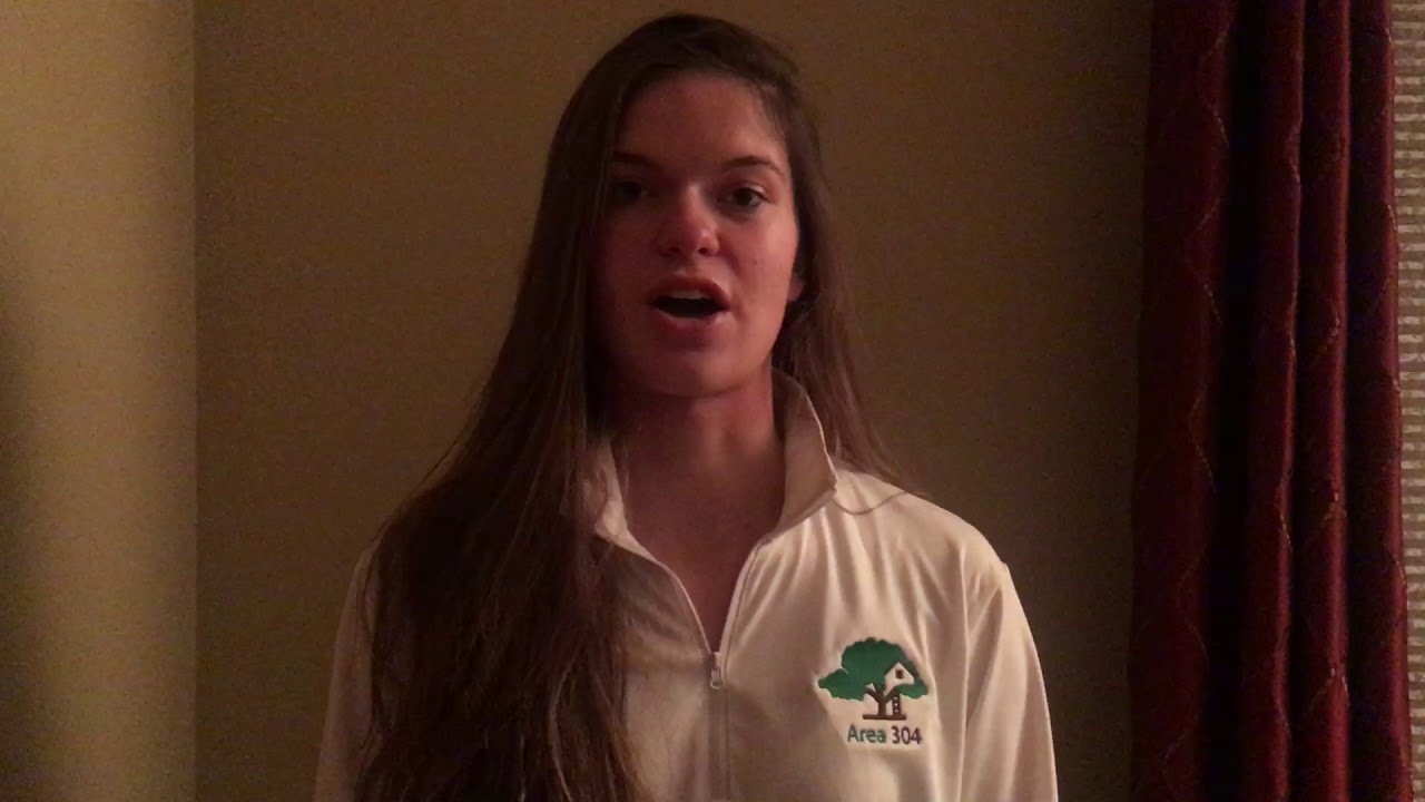 VEI elevator pitch semester 1 Cassie Longo - YouTube