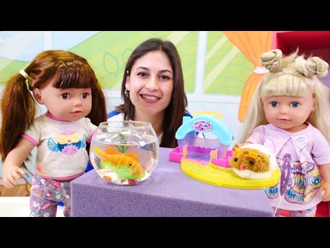 Ayşe ve Baby Born ile video! Gül ve Ece yeni evcil hayvanlar için yuva yapıyorlar