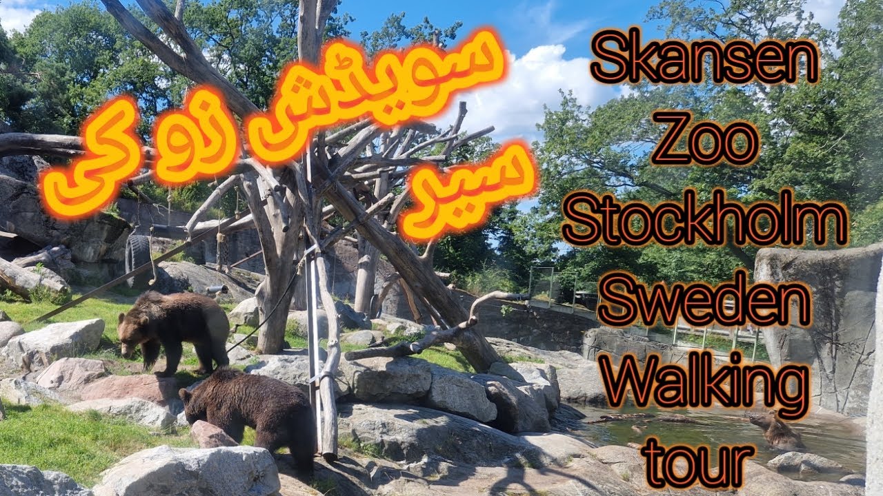 Skansen stockholm sweden walking tour/سویڈش زو کی سیر@zoo in sweden ...