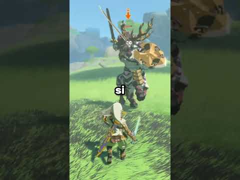 La VRAI Puissance De Link  #zelda #totk #nintendo #zeldatotk  #thelegendofzeldatotk #botw #zeldabotw