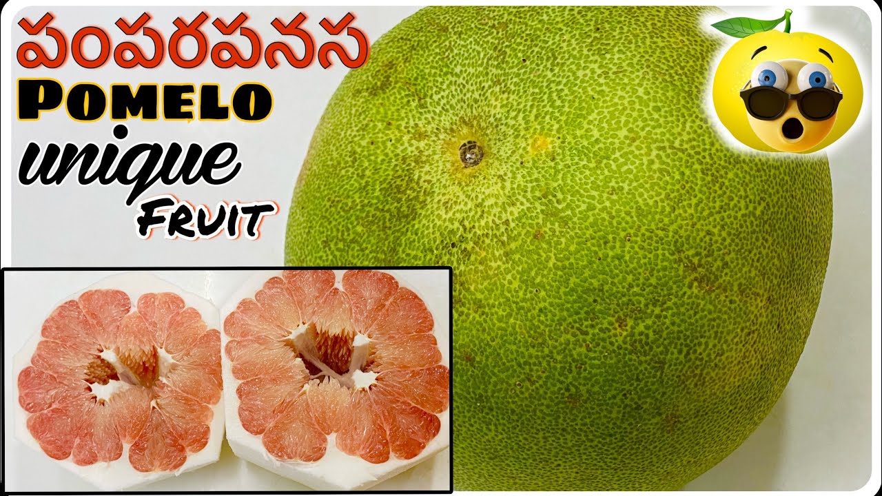 Pomelo fruit | పంపరపనస in telugu | chakotra | Pomelo cut n eating ...