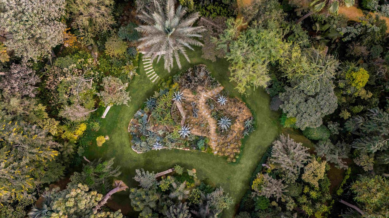 Mazhar Botanic Garden seen from above - YouTube