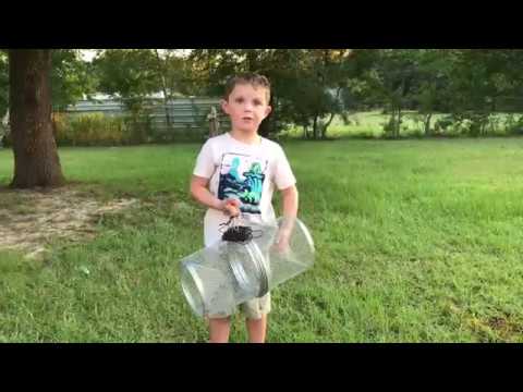 Thanks Kendall Gray ! Great Minnow fish Trap Gee's G-40 - YouTube