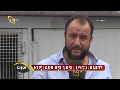 Kuşcu-İyi Bir Oyun Kuşu Nasıl Olmalıdır?