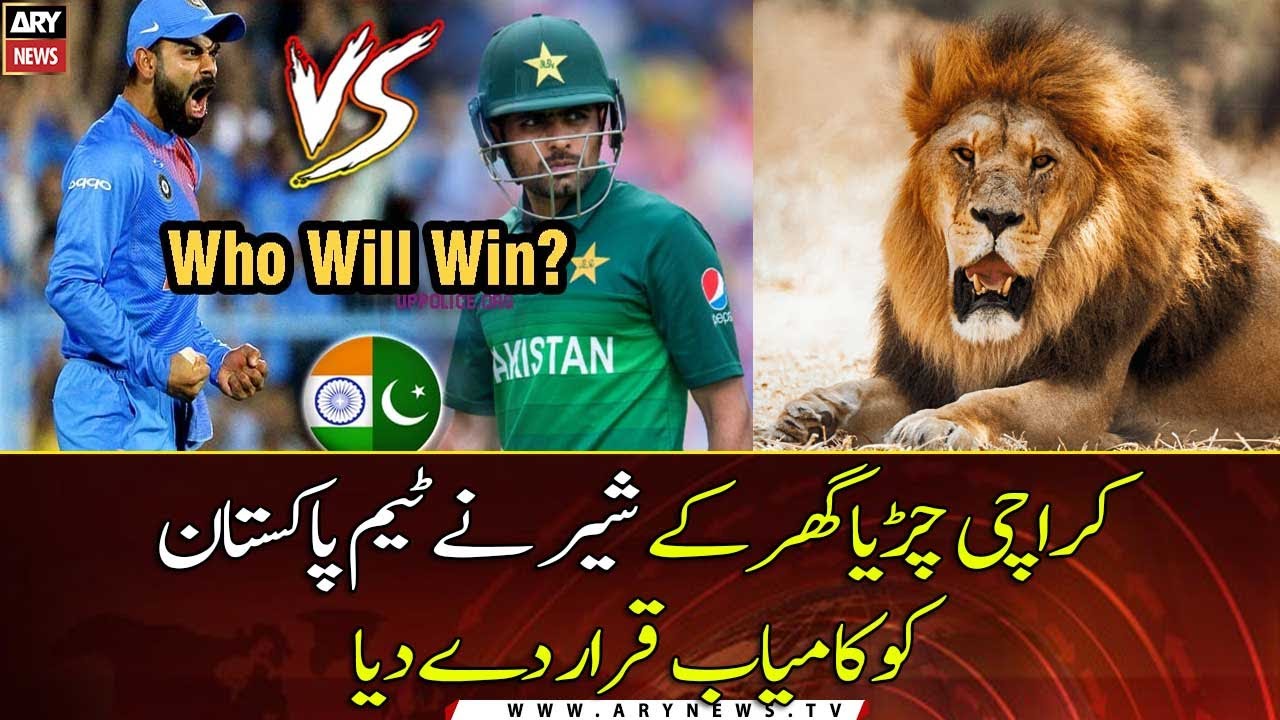 The lion of Karachi Zoo declared Team Pakistan successful - YouTube