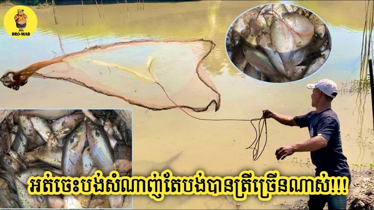 ផ្អាកបង្ហោះខ្លែងមករៀនបង់សំណាញ់យកត្រីហូបម្តង😘 How to fishing a lot of ...