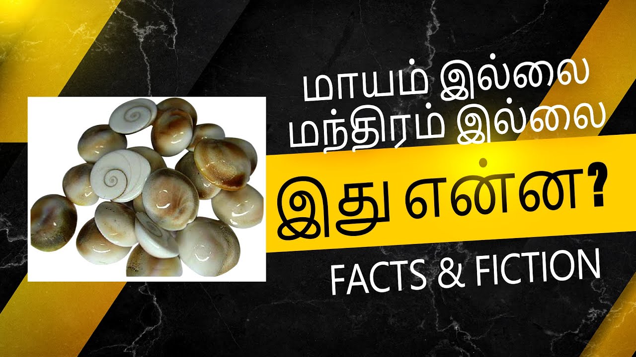 Uruttu Stone | FACTS AND FICTION | EP-1 | FIND X - YouTube