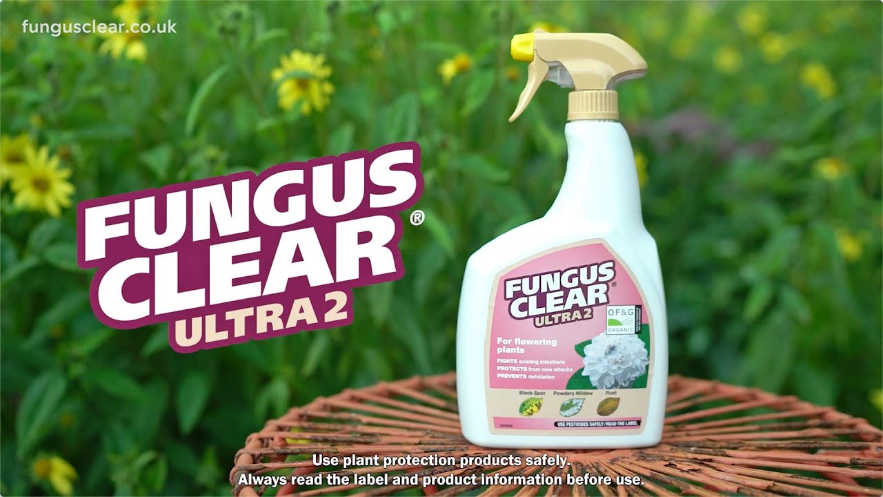 How to use FungusClear® Ultra 2 spray on your plants - YouTube