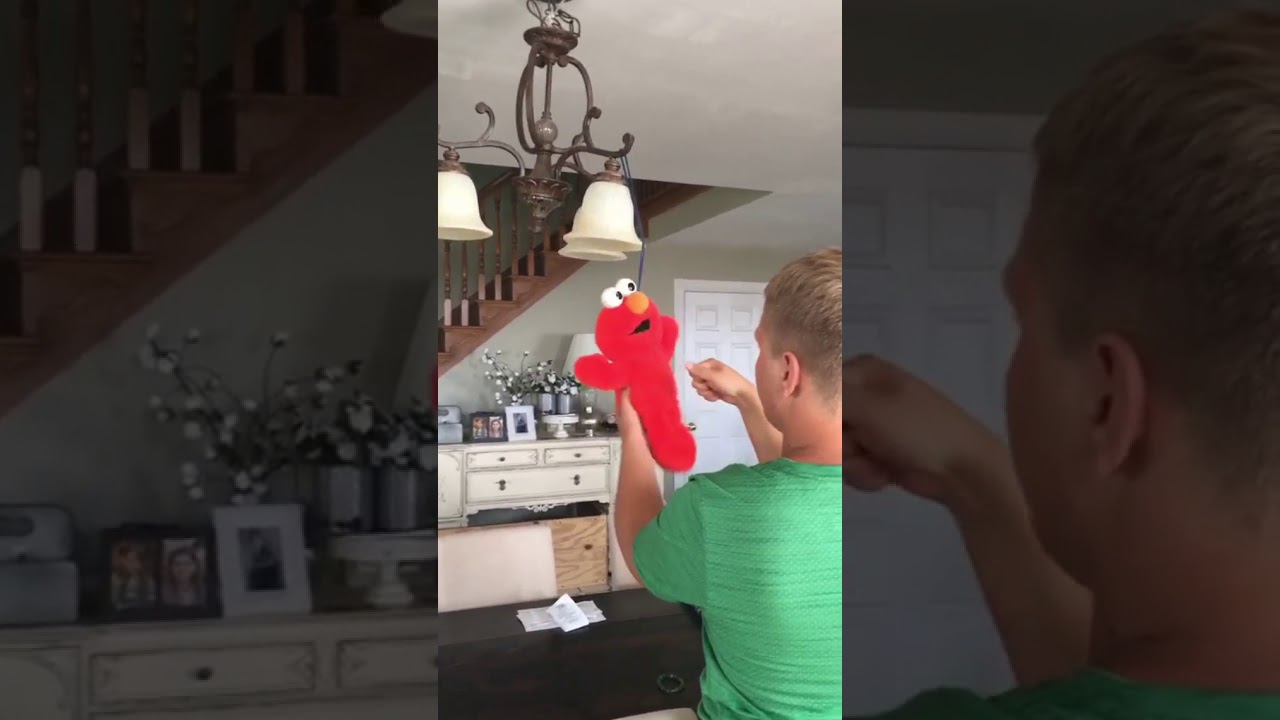 Elmo's private execution! - YouTube