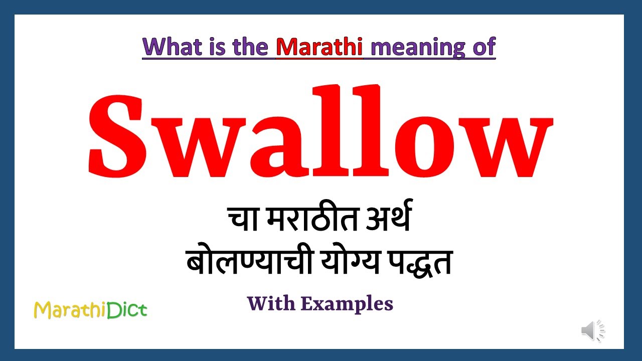 Swallow Meaning In Marathi Swallow Swallow In Marathi
