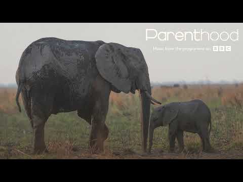 Sam Ryder - Go Steady from BBC's Parenthood (Official Audio)