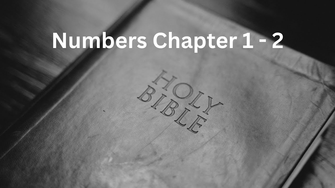 Exploring Numbers Chapters 1 - 2: A Comprehensive Study #audiobible # ...