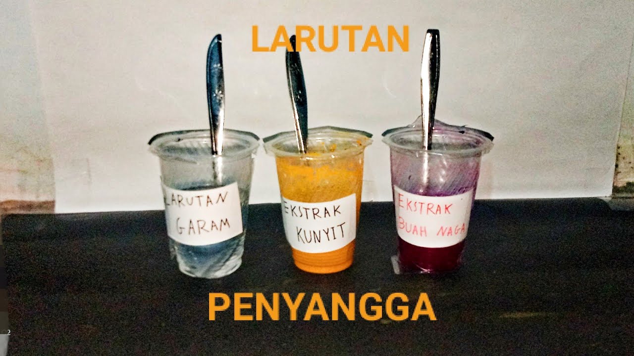 LARUTAN PENYANGGA || Chemlab Plus - YouTube