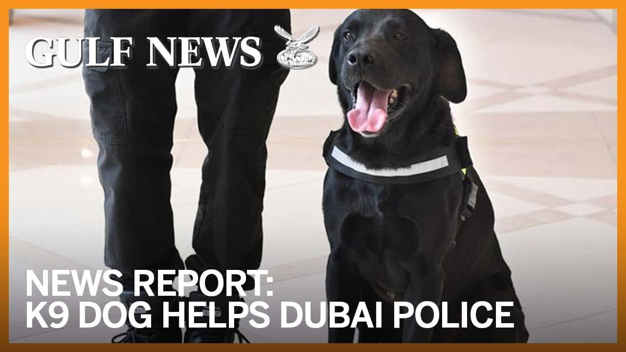 Breaking | UAE Police | K9 sniffer dogs | dogs to detect | COVID-19 ...