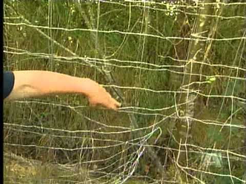 COOMBS KILLING FIELDS - UVIC Rabbits "Culled" in Coombs - YouTube