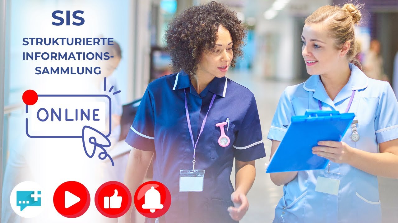 Strukturierte Informationssammlung (SIS) - Definition, Konzept ...