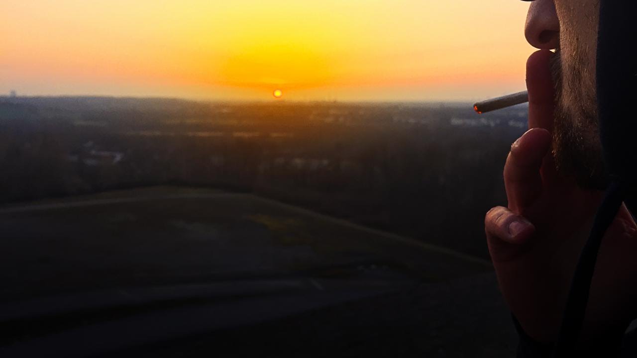 Smoking Session #04 - Palm Trees | #GermanWeedBoys - YouTube