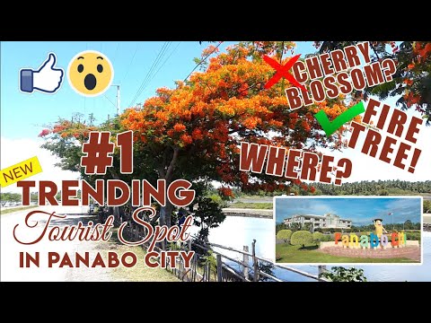 Panabo City's New Trending Tourist Spot - YouTube