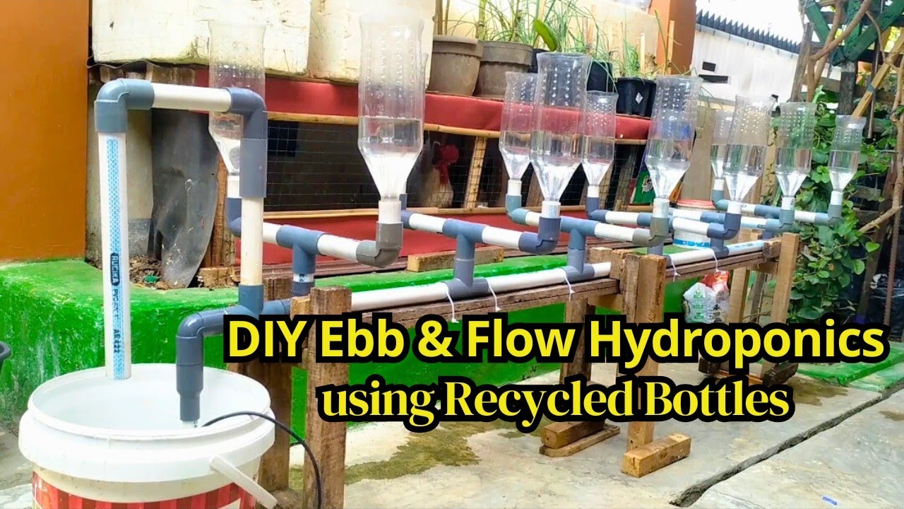 DIY Ebb and Flow Hydroponic System Using Recycled Plastic Bottles ...