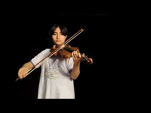 Vivaldi Violin Concerto in A minor | Lía Ponce