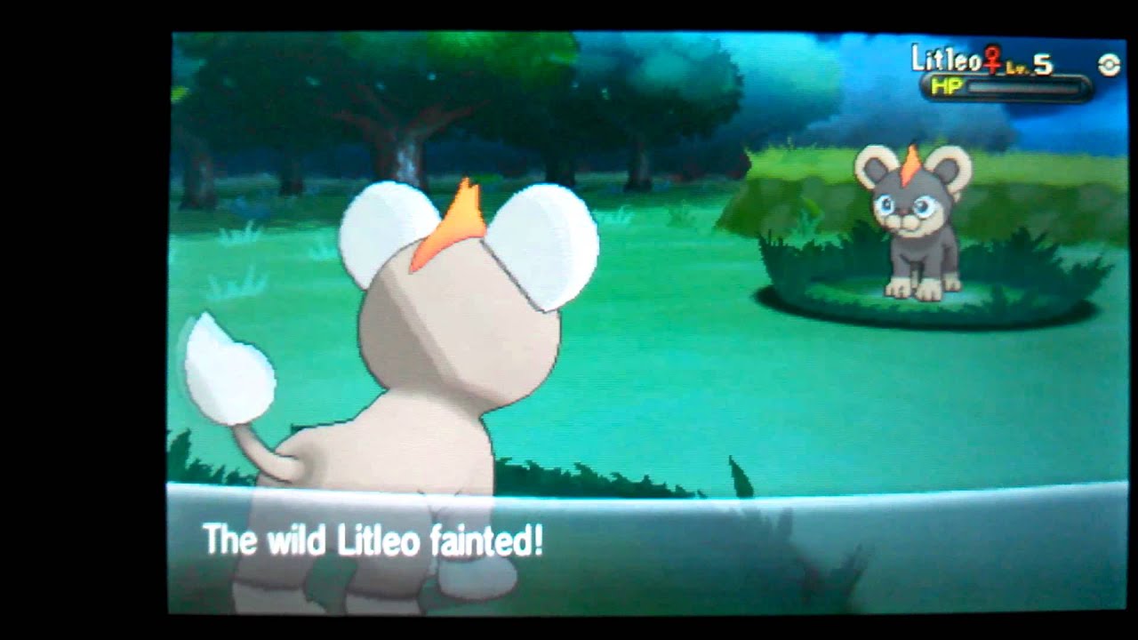 Pokemon X Shiny Litleo vs Litleo - YouTube