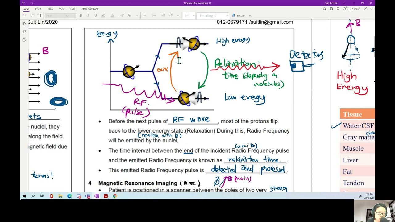 Medical Physics (Ch24) | A2 Review Sessions | Cambridge A Level 9702 ...