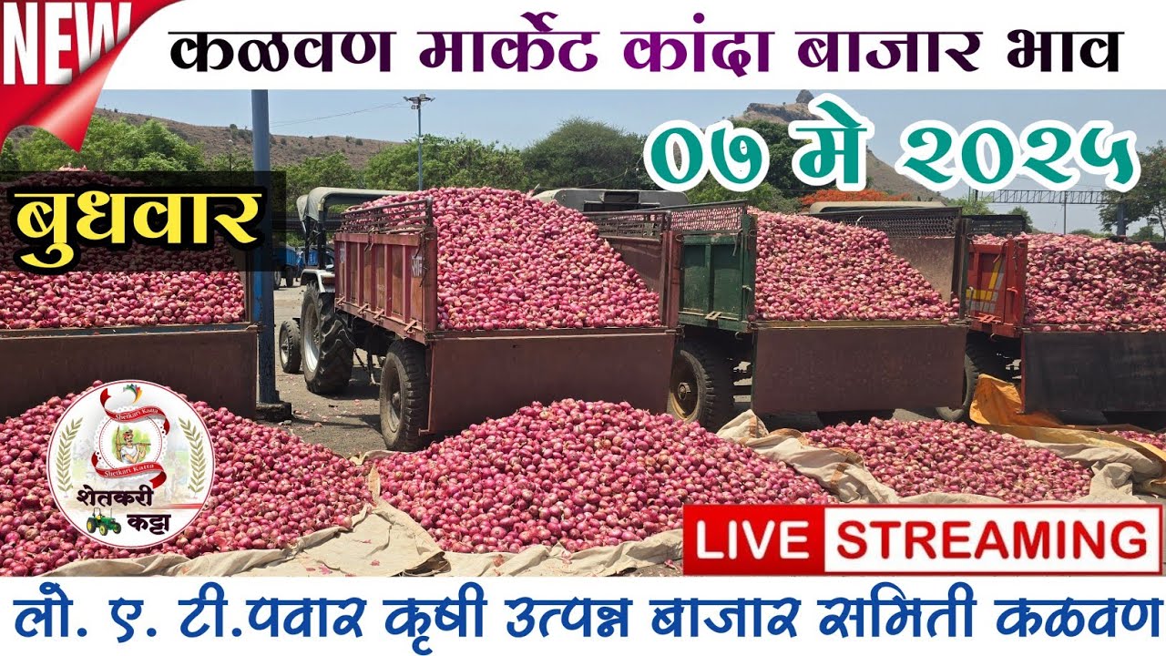 Kalwan kanda bhav | 7 मे 2025 | कळवण मार्केट कांदा भाव | कळवण Live ...