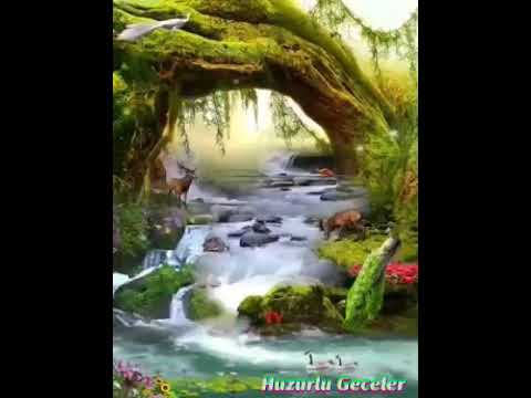 Huzurlu Geceler. en güzel rekor kıran. En yeni mesaj