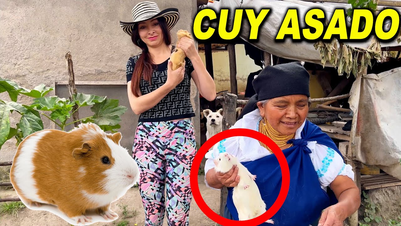 Preparando Delicioso Cuy Asado junto a una amiga Colombiana - YouTube