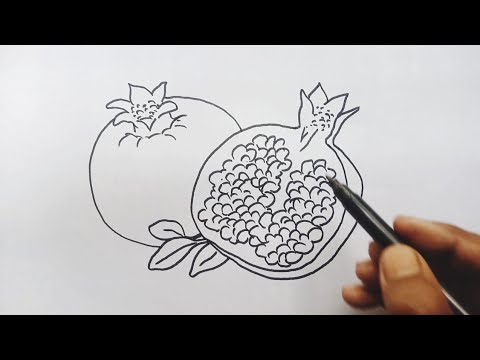 how to draw pomegranate #drawing #tutorial #pomegranate @howtodraw1029 ...